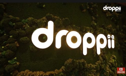 Product development team - Droppii
